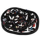 GM Standalone LS1 Drive by Wire Engine and 4L60E Transmission Wiring ...