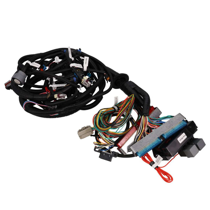 GM Standalone LS1 Drive by Wire Engine and 4L60E Transmission Wiring ...
